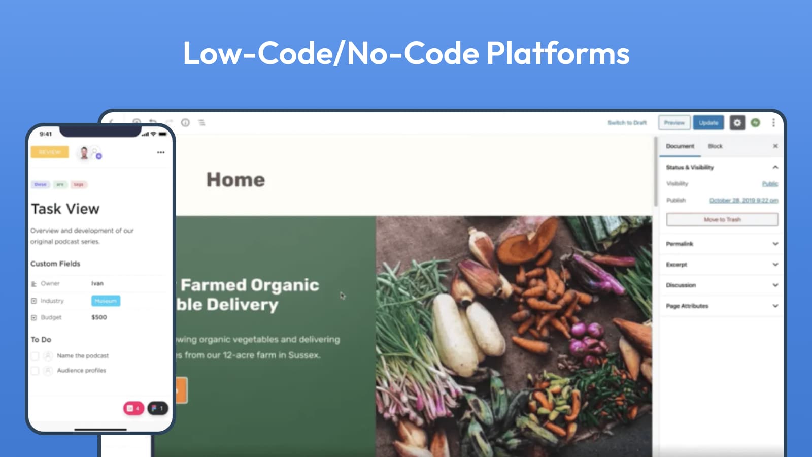 No Code/Low Code App Development: All to Know About in 2025 - Get Pro MTPS